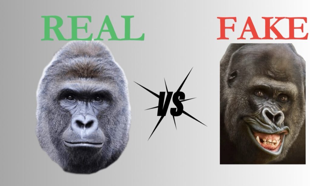 Top Harambe Tokens: Which Harambe Is The Real Harambe?